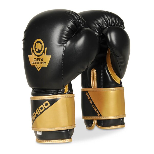 Boxerské rukavice DBX BUSHIDO B-2v10 12oz cena, slevy, porovnání ️ ...